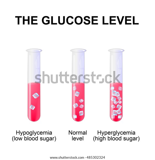 Blood Sugar Level Glucose Level Normal Stock Vector (Royalty Free ...