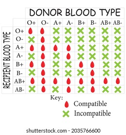 612 Blood type table Images, Stock Photos & Vectors | Shutterstock