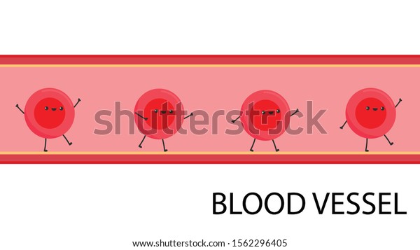 Blood Vessel Cartoon Vector Blood Character Stock Vector (Royalty Free ...