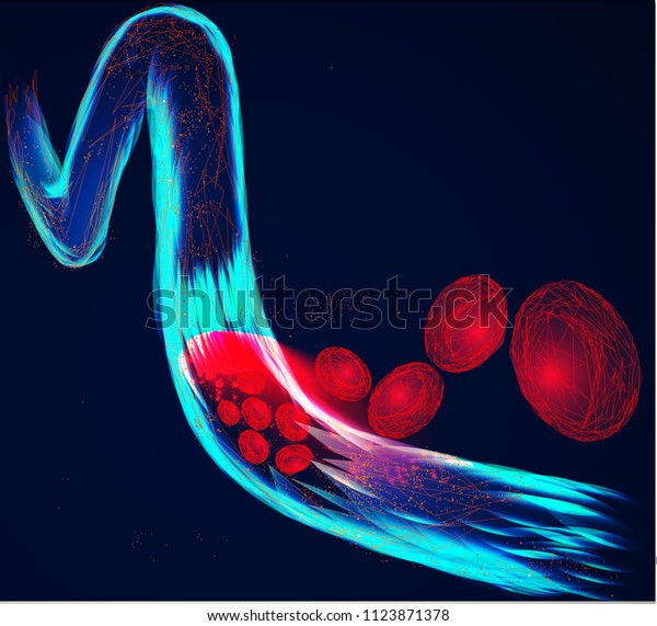 Blood Vessel Section Red Blood Cells Stock Vector (Royalty Free) 1123871378