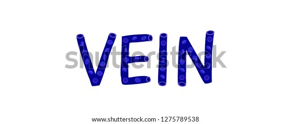 Blood Vessel Text Vector Vein Stock Vector (Royalty Free) 1275789538 ...