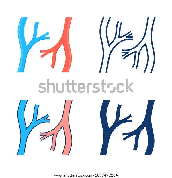 Blood vessels icon set in flat and line style. Artery and vein symbol ...