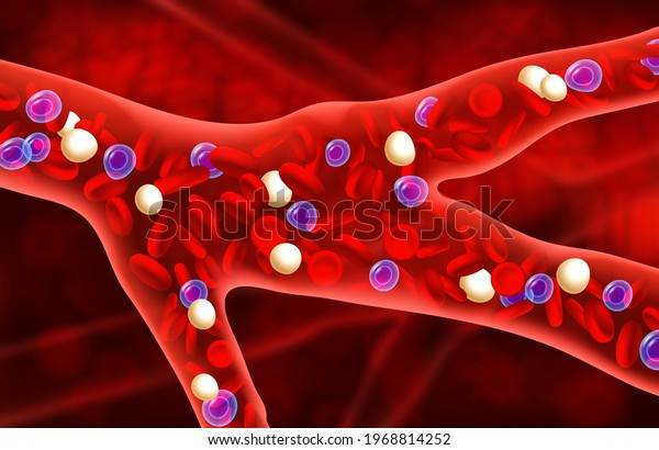 Bloodstream View Inside Artery Blood Cells Stock Vector (Royalty Free ...