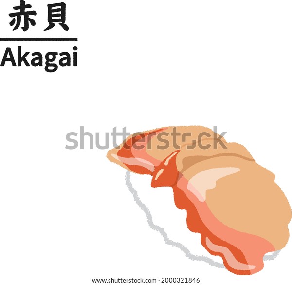 Bloody Clam Ark Shell Akagai Nigiri Stock Vector (Royalty Free ...
