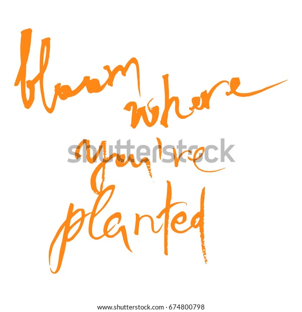 Bloom Where You Planted Ink Illustration Stock Vector (Royalty Free ...