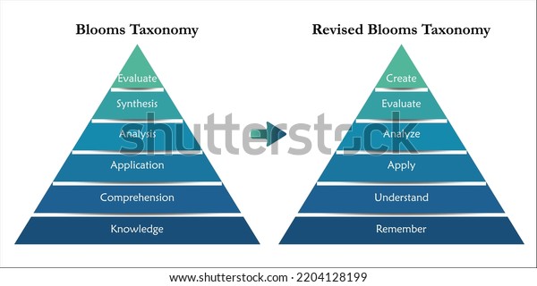 Blooms Taxonomy Revised Blooms Taxonomy Infographic Stock Vector ...