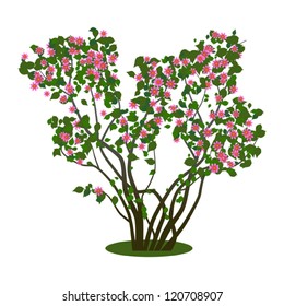 Climbing Rose Arch Hand Drawn Watercolor Stock Illustration 1928893322 ...