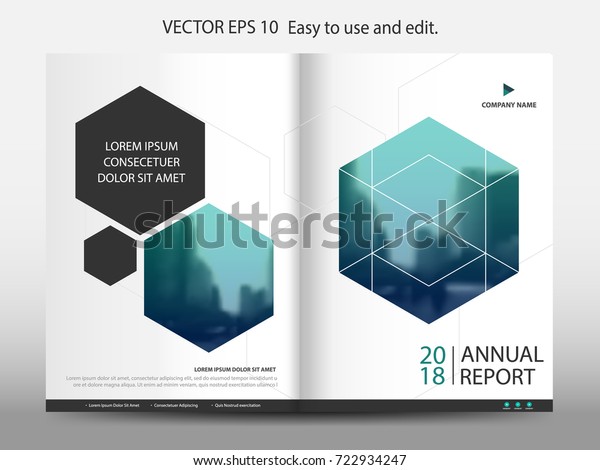 Blue abstract hexagon annual report Brochure design template vector. Business Flyers infographic ...