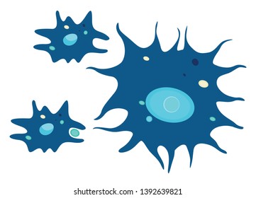 Blue Amoeba Vector Illustration On White Stock Vector (Royalty Free ...