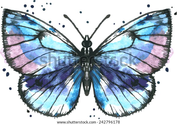 Blue Butterfly Drawing By Ink Watercolor Stock Vector (Royalty Free ...
