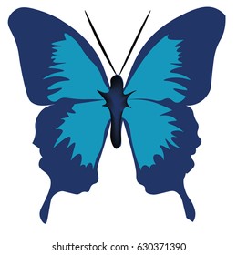 Butterfly Raster Version Vector Stock Illustration 50560744