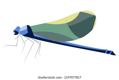 Blue Dragonfly Colored Wings Vector Illustration Stock Vector (Royalty ...