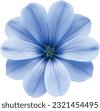 511+ Thousand Flowers With No Background Royalty-Free Images, Stock ...