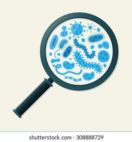 3,315 Magnifying glass bug Stock Vectors, Images & Vector Art ...