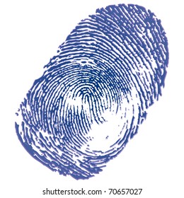 Blue Ink Thumbprint On White Background Stock Vector (Royalty Free ...