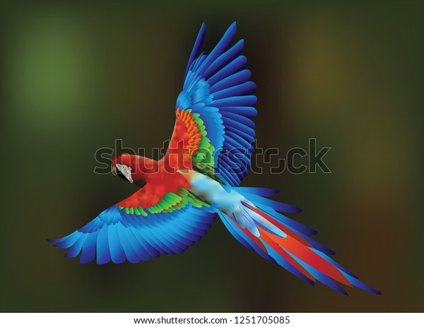 Blue Macaw Illustration Stock Vector (Royalty Free) 1251705085