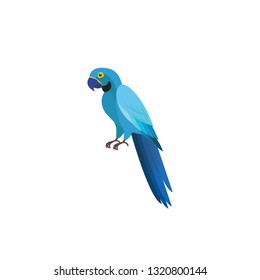 Blue Parrot Cartoon Vector On White Stock Vector (Royalty Free ...