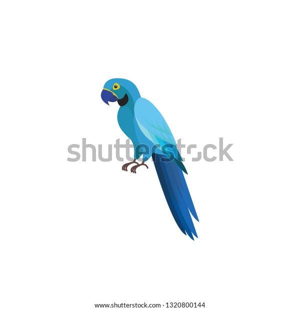 Blue Parrot Cartoon Vector On White Stock Vector (Royalty Free ...