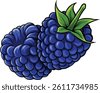 1,073,527 Raspberry Royalty-Free Images, Stock Photos & Pictures ...