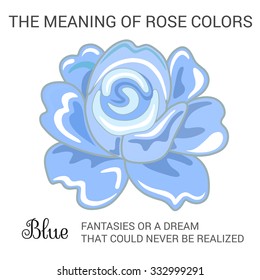 Blue Rose Infographics Vector Illustration Isolated Stock Vector ...