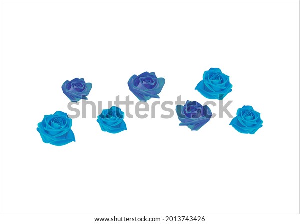 Blue Rose Vector Illustration Isolated On Stock Vector (Royalty Free ...