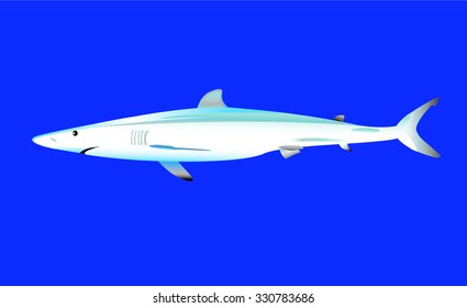 Blue Shark Stock Vector (Royalty Free) 330783686 | Shutterstock