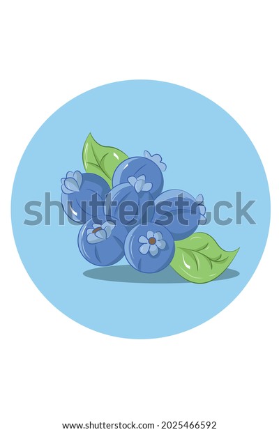 Blueberries Vector Illustration Hand Drawing Stock Vector (Royalty Free ...