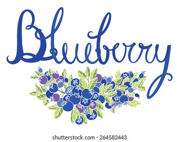 Blueberry Calligraphy Card Stock Vector (Royalty Free) 264582443 ...