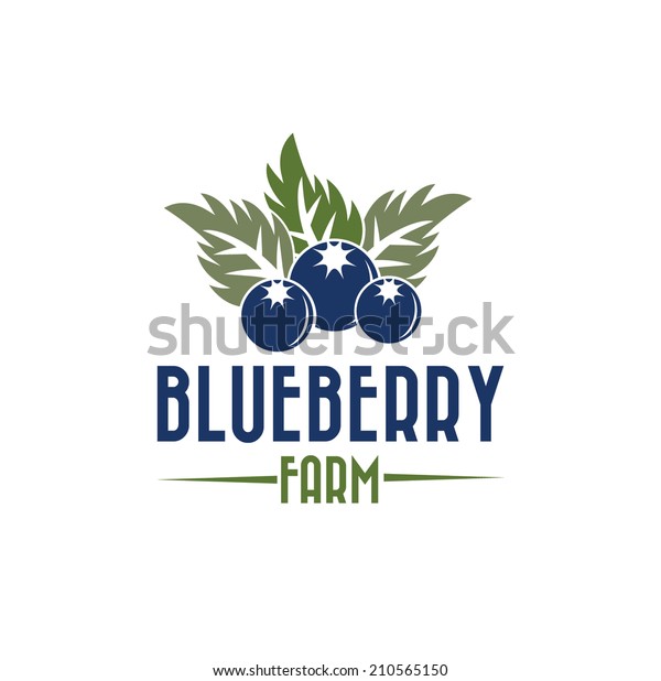 Blueberry Farm Illustration Stock Vector (Royalty Free) 210565150