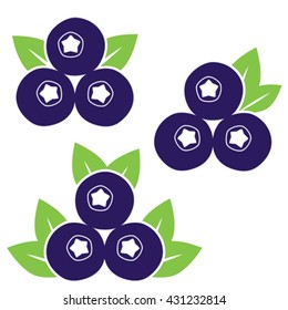 Blueberry Icon Set Stock Vector (Royalty Free) 431232814 | Shutterstock