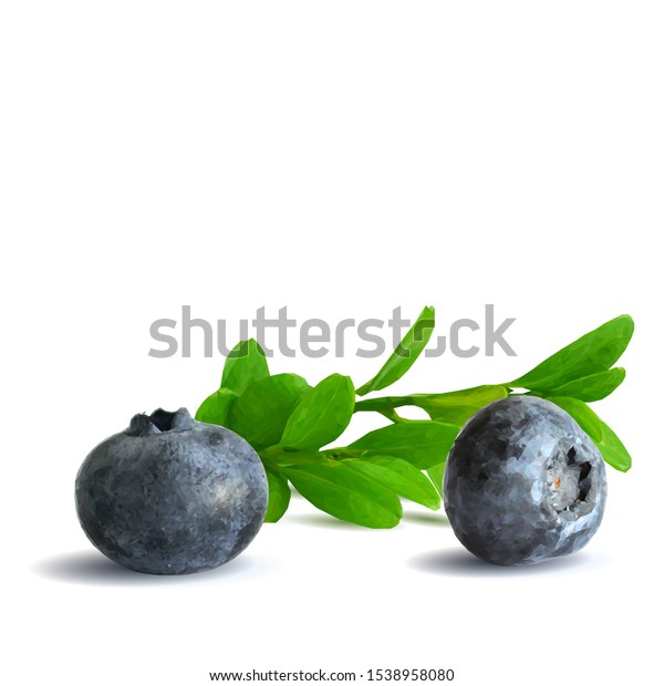 Blueberry Low Poly Fresh Nutritious Tasty Stock Vector (Royalty Free ...