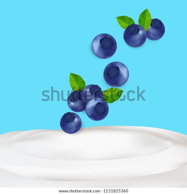 Blueberry Splash Vector Illustration Fruit Fresh Stock Vector (Royalty ...