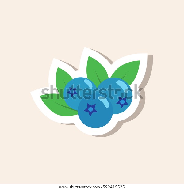 Blueberry Sticker Vector Illustration Flat Design Stock Vector (Royalty ...
