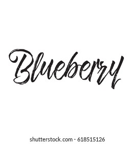 Blueberry Text Design Vector Calligraphy Typography Stock Vector ...