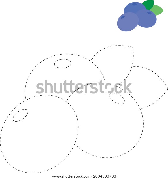 Blueberry Tracing Worksheet Kindergarten Activity Preschool: เวกเตอร์ ...