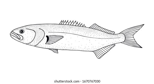 Fish Outline Vector Icon Stock Vector (Royalty Free) 1262826526