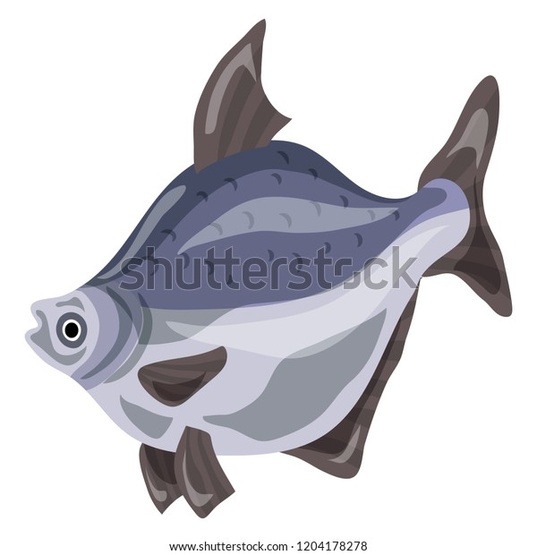 Bluegill Fish Icon Cartoon Bluegill Fish Stock Vector (Royalty Free ...