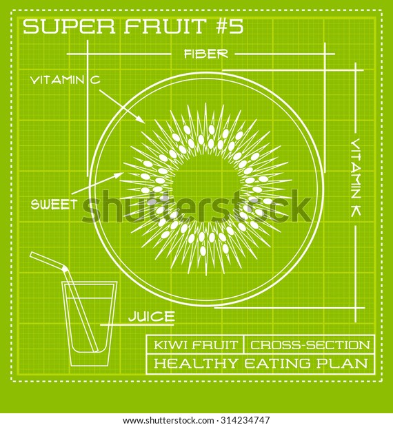 Blueprint Diagram Line Drawing Fruit Infographic: Vector có sẵn (miễn ...
