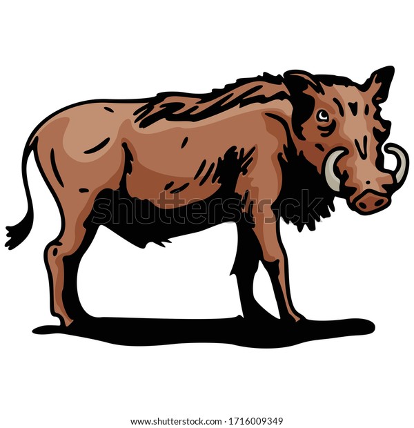 Boar Animal Cartoon Character Vector Illustration Stock Vector (Royalty ...