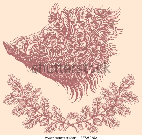 Boar Head Design Set Hand Drawn Stock Vector (Royalty Free) 1337250662 ...