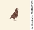 211+ Thousand Quail Royalty-Free Images, Stock Photos & Pictures ...
