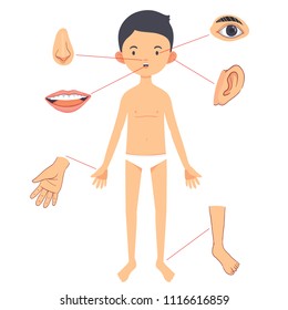 Body Human Cartoon Stock Vector (Royalty Free) 1116616859 | Shutterstock