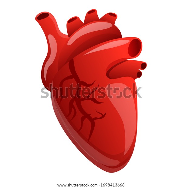 Body Human Heart Icon Cartoon Body Stock Vector (Royalty Free ...