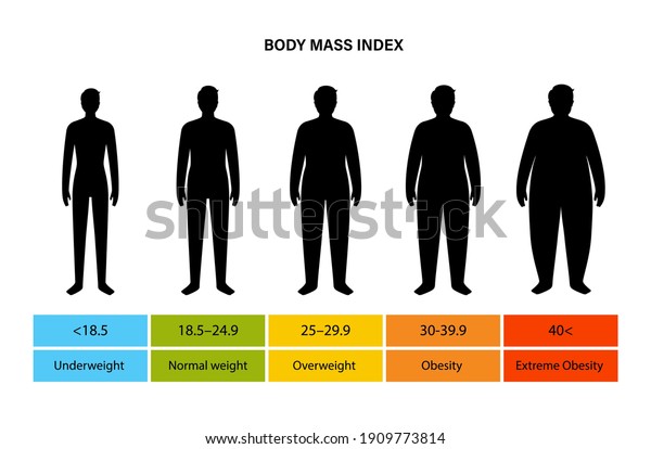 Body Mass Index Poster Man Silhouettes Stock Vector (Royalty Free ...