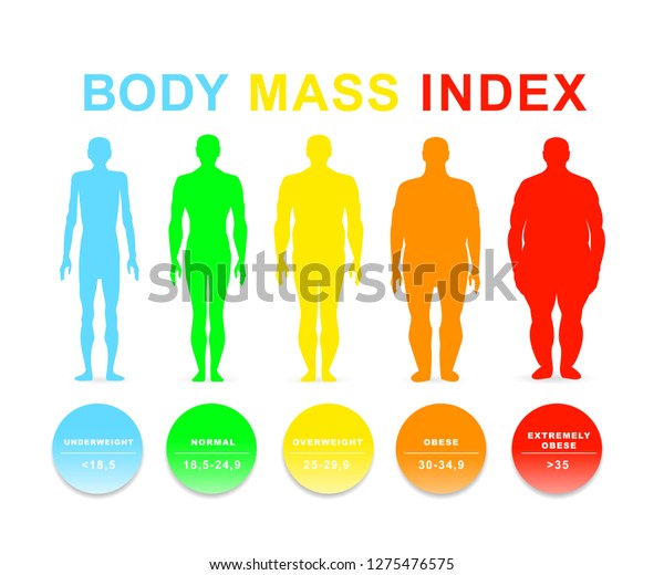 Body Mass Index Vector Illustration Silhouettes Stock Vector (Royalty ...