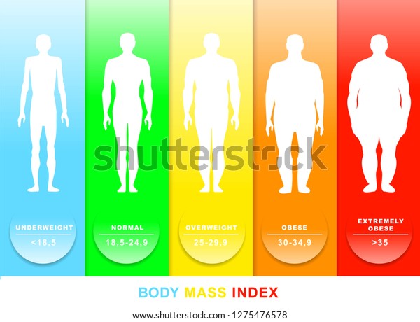Body Mass Index Vector Illustration Silhouettes Stock Vector (Royalty ...