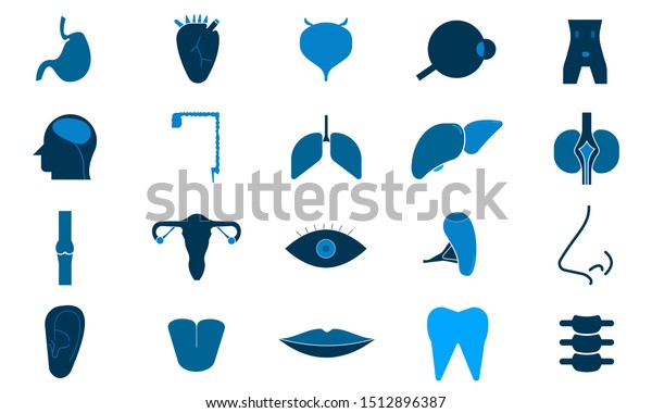 Body Parts Icon Set Vector Illustration Stock Vector (Royalty Free ...