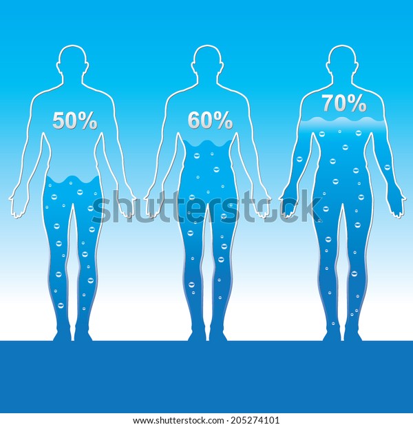 Body Water Stock Vector (Royalty Free) 205274101
