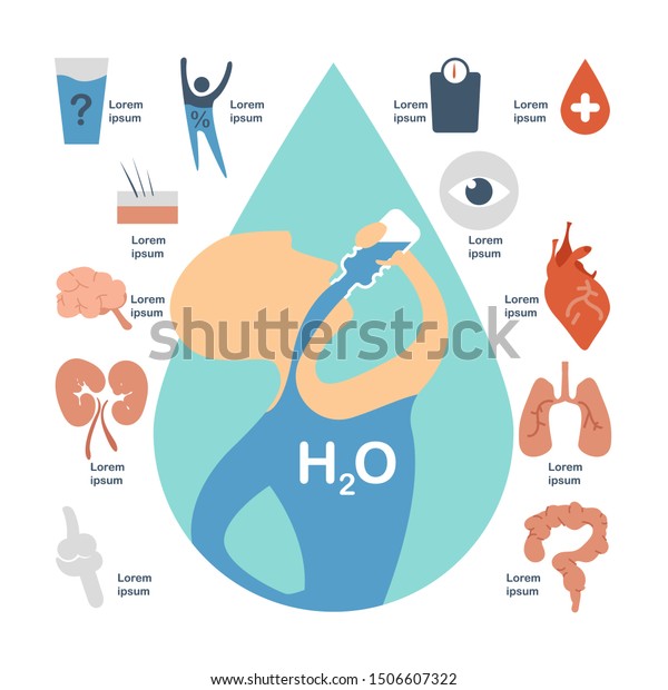 Body Water Infographics Water Driving Force Stock Vector (Royalty Free ...