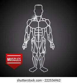 Bodybuilding Graphic Design Vector Illustration Stock Vector (Royalty ...